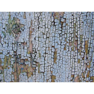 4 Tree bark textures (high resolution) - 123creative.com